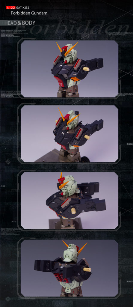 Artisan Club 1/100 Forbidden Gundam Conversion Kit