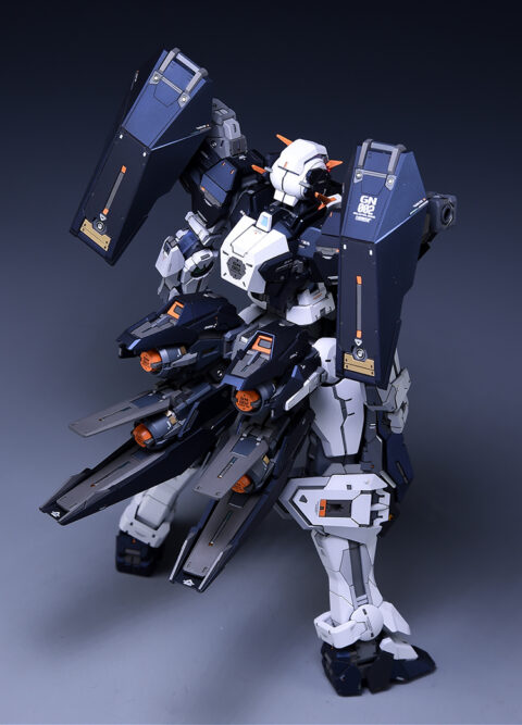 Fortune Meow's 1/100 Gundam Dynames Repair III Conversion Kit
